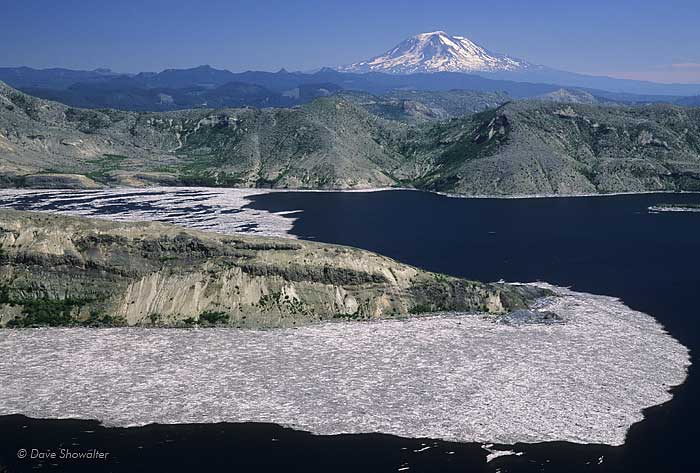 Spirit Lake Floating Forest | Mount Saint Helens National Volcanic ...
