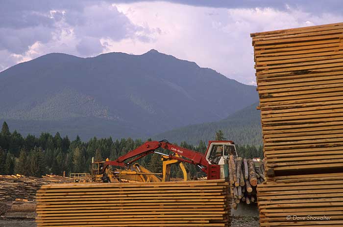 Logging in Glacier's Shadow | Northwest Montana | Dave Showalter Nature ...