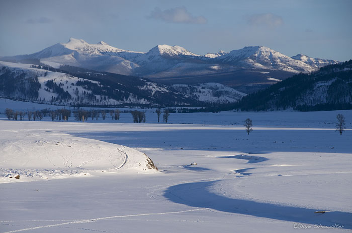 Lamar Valley Winter : Yellowstone National Park, Wyoming : Dave ...