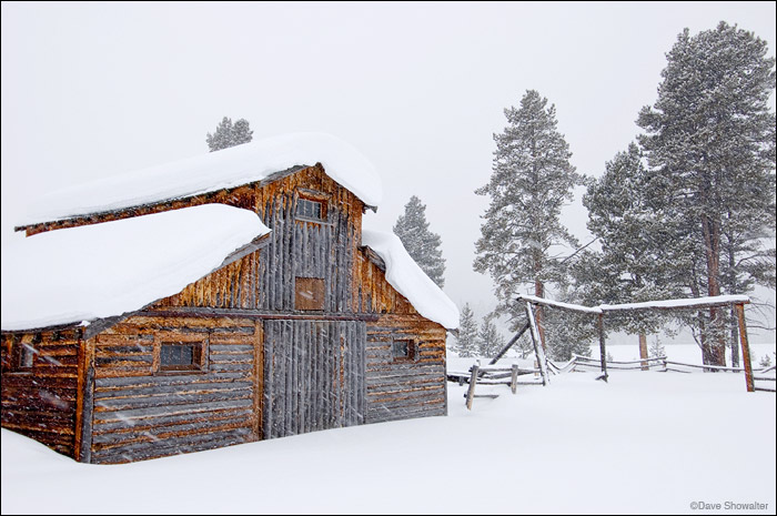 Winter Barn | Rocky Mountain National Park, Colorado | Dave Showalter ...